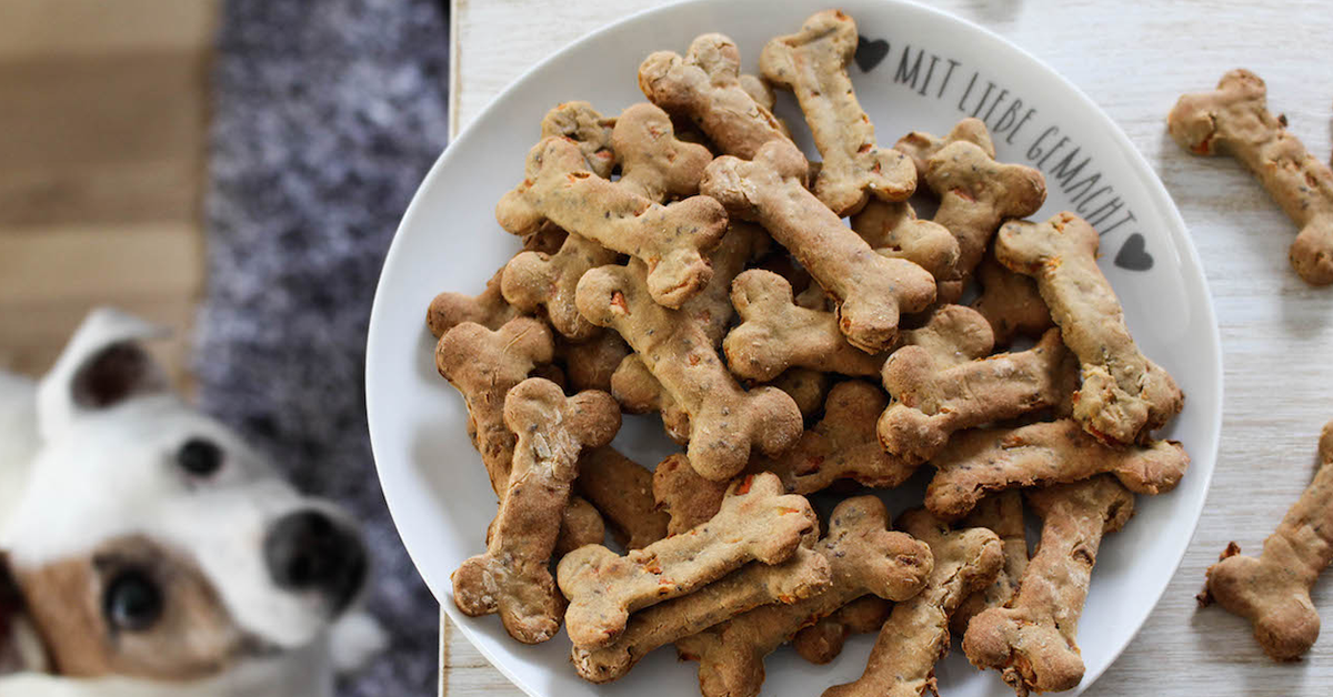 Os benefícios dos snacks para pets: saudáveis e saborosos | Blog ...